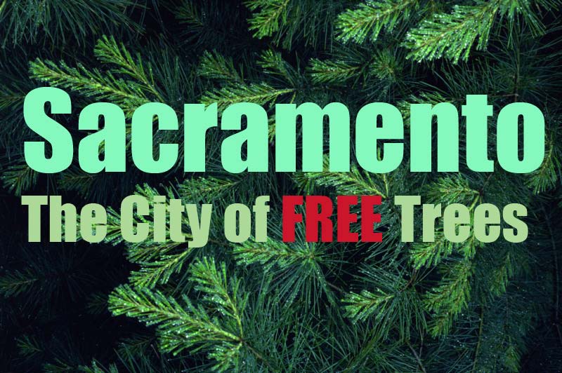 Sacramento Shade: Free Trees – My Select Life – By the Select Group