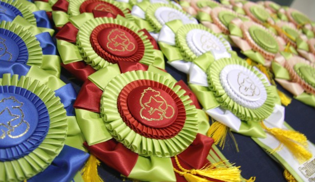 Nevada County Exhibit Earns Gold Award at State Fair – My Select Life ...
